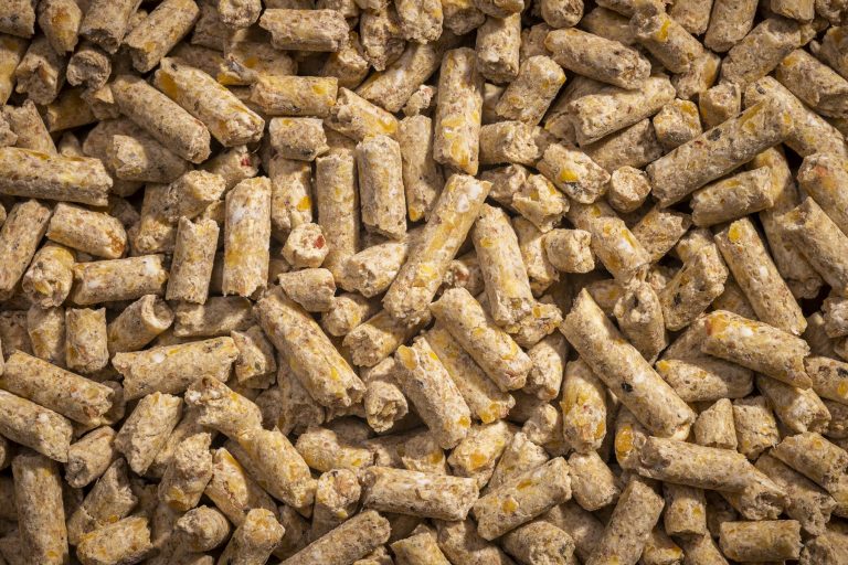 Hog Grower Pellets – 40 lbs. – Modesto Milling Organic Feeds and ...