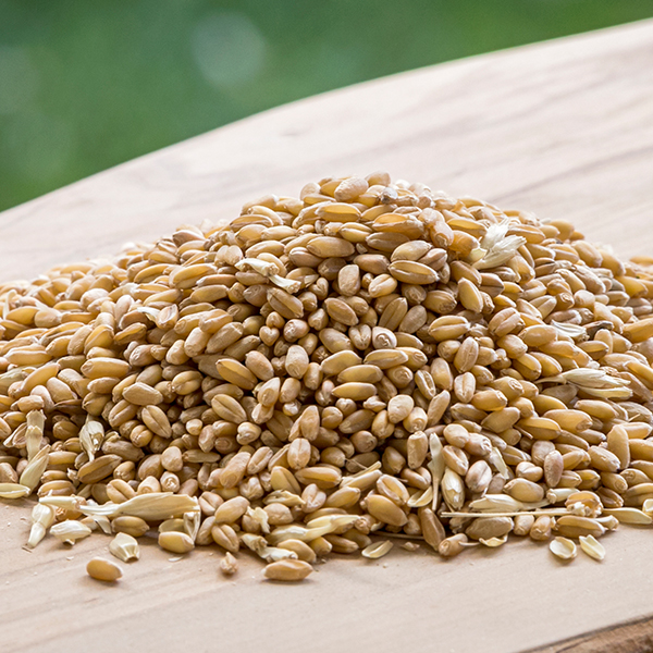 Shop – Modesto Milling Organic Feeds and Supplements